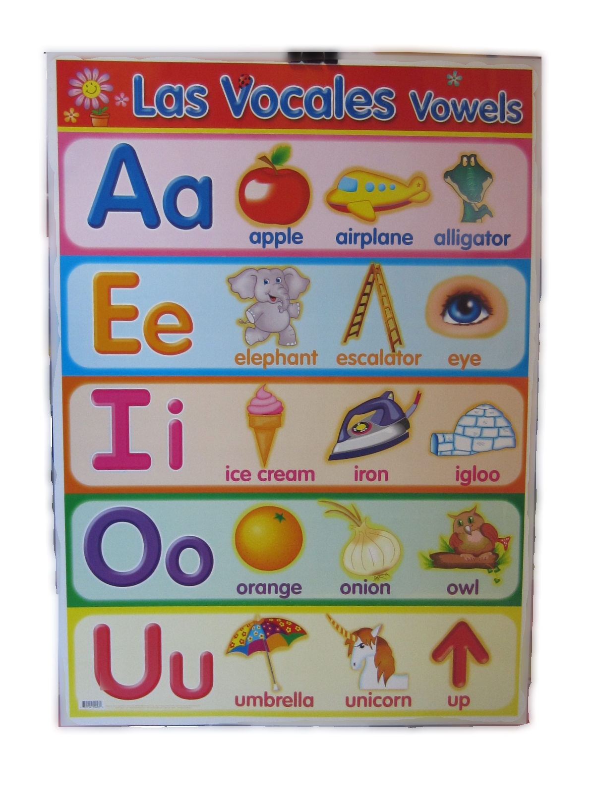 MINI POSTER DIDACTICO FRUT GRANMARK - Proveedora de Oficinas